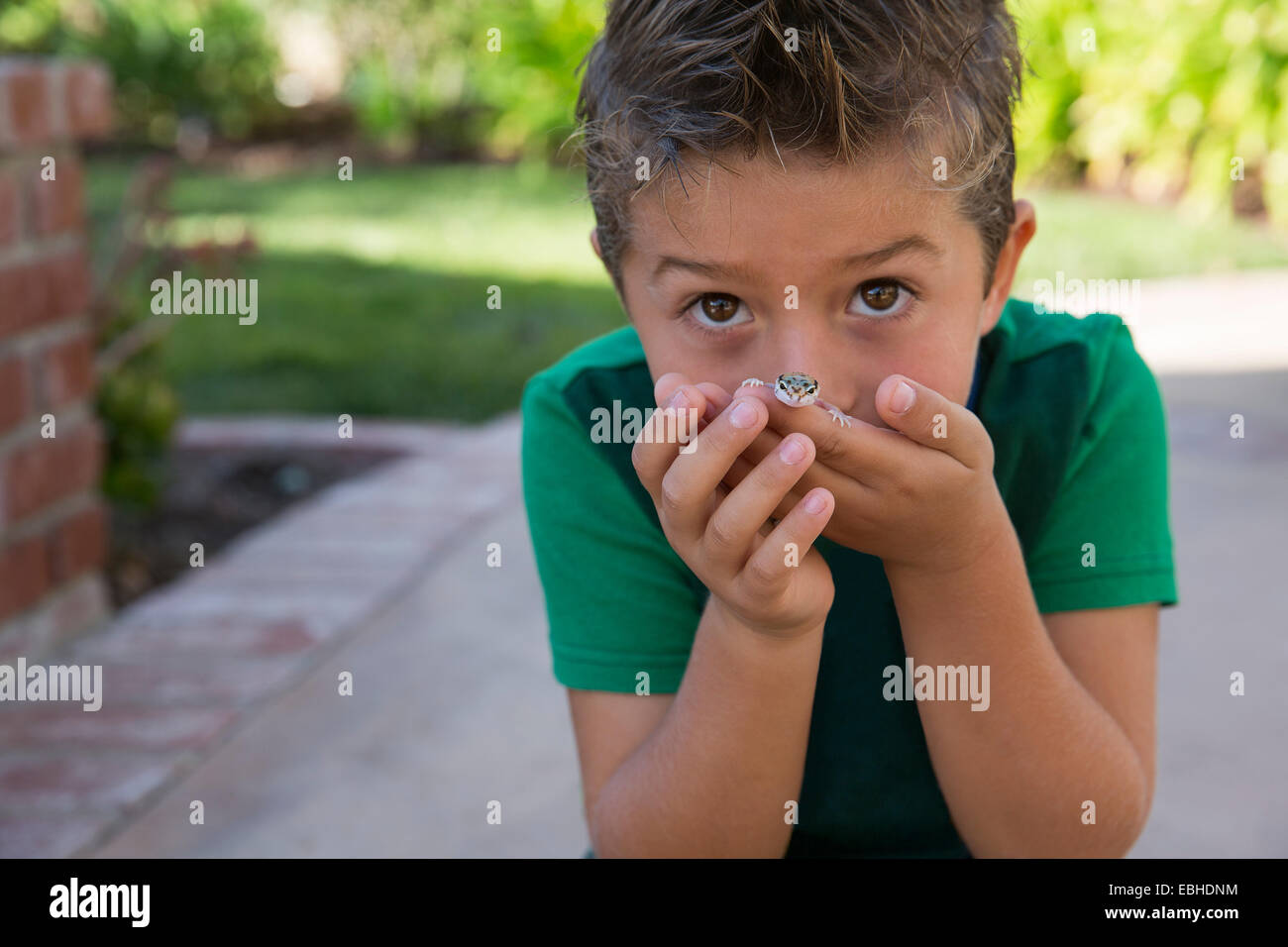 Close up portrait of mischievous boy holding gecko Stock Photo - Alamy