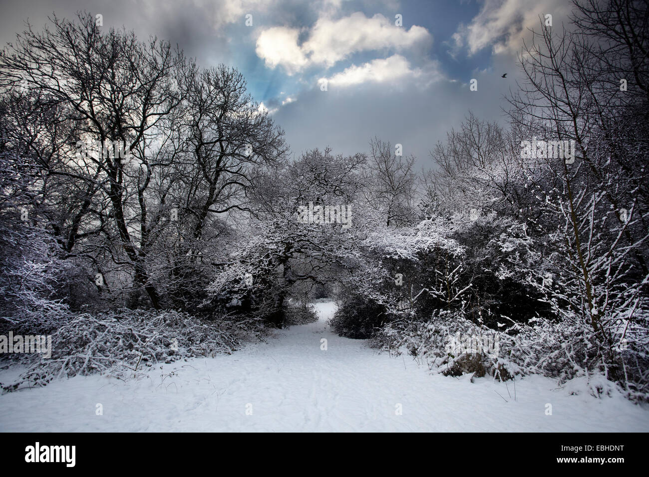 Cold freezing snowing hi-res stock photography and images - Alamy