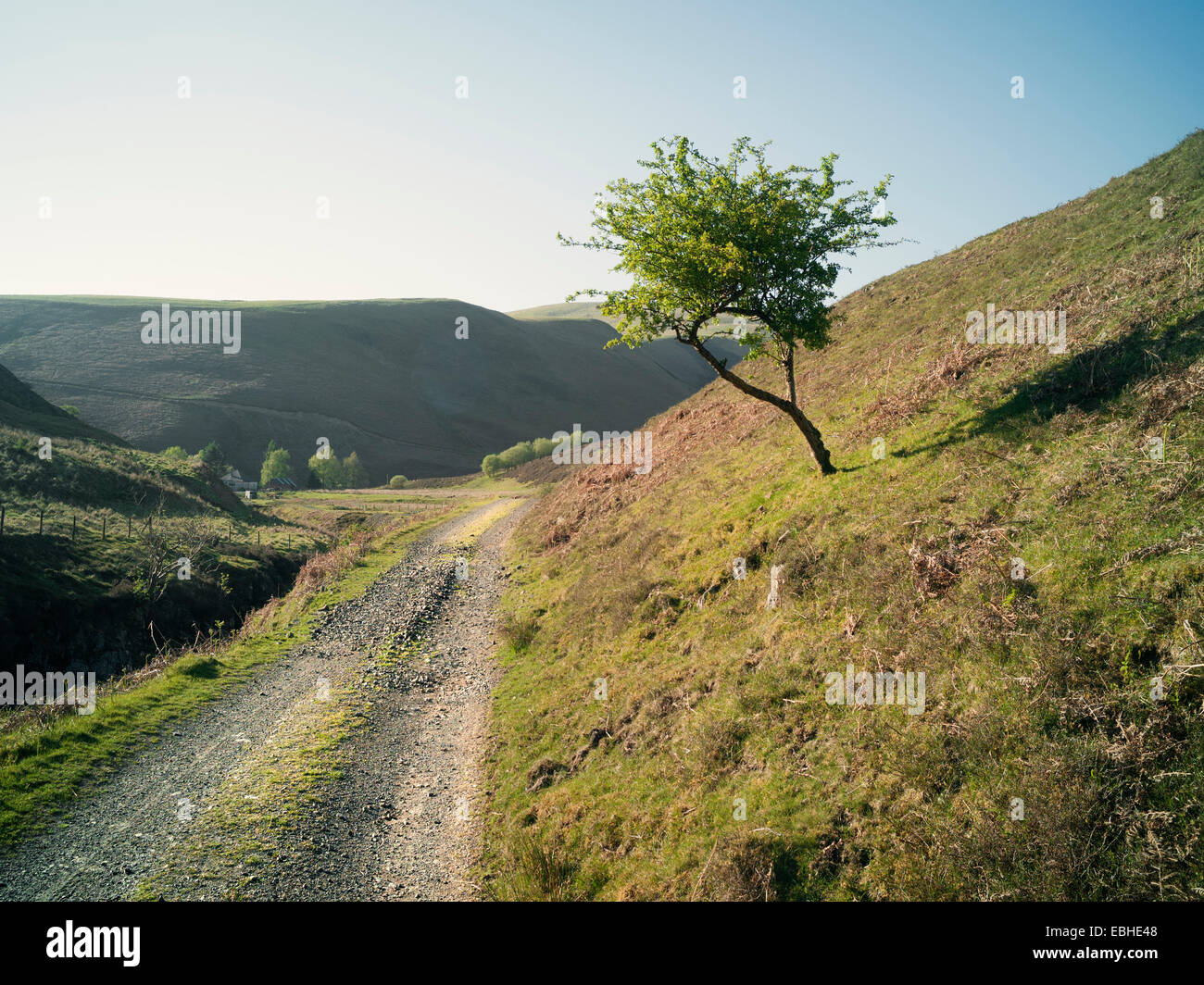 From lanarkshire hi-res stock photography and images - Alamy