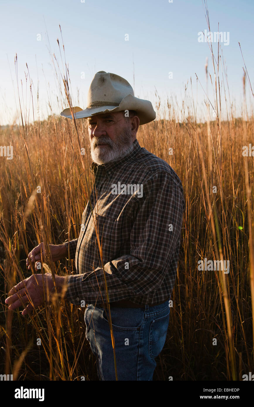 Portrait of senior male farmer in long grass, Plattsburg, Missouri, USA ...