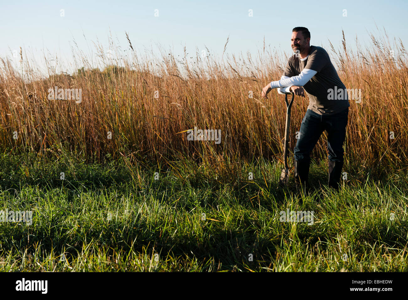 Portrait of mid adult male farmer leaning on spade in field, Plattsburg ...