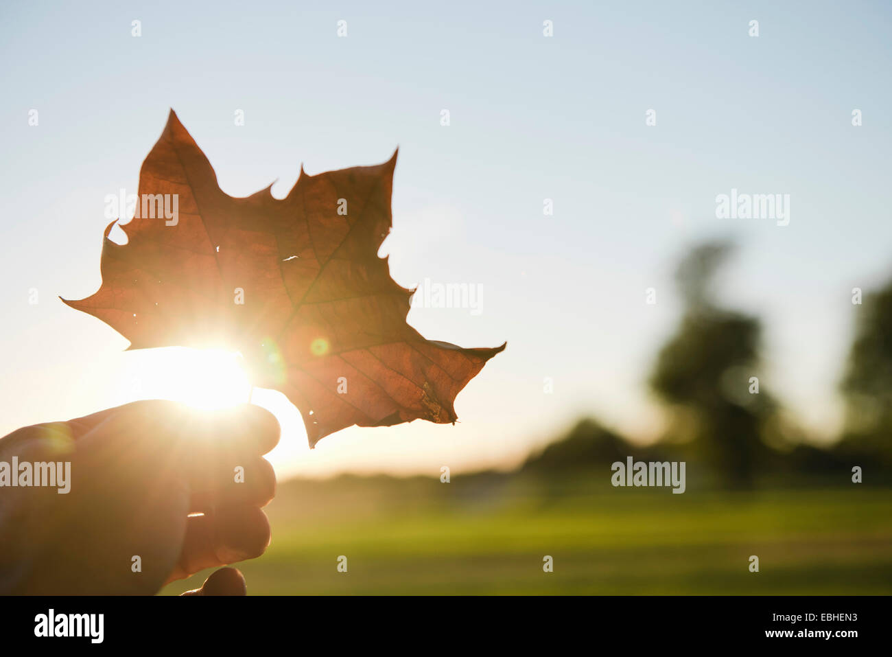 Hand holding the sun hi-res stock photography and images - Alamy