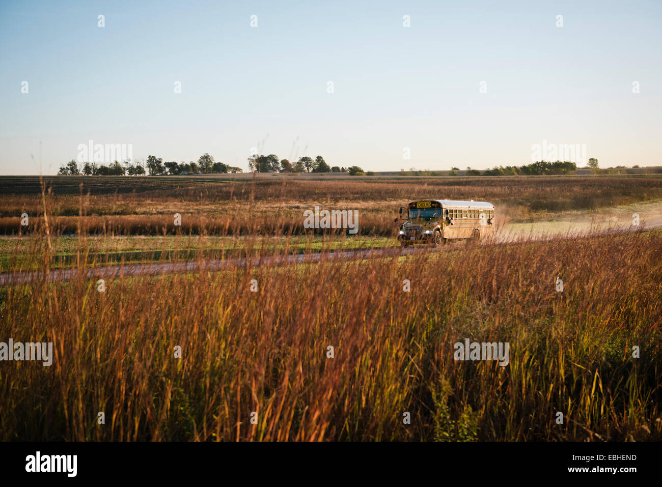 Chool bus hi-res stock photography and images - Alamy