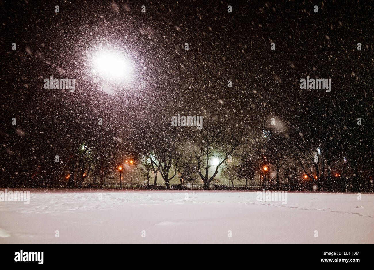 Snow covered street in brooklyn hi-res stock photography and images - Alamy