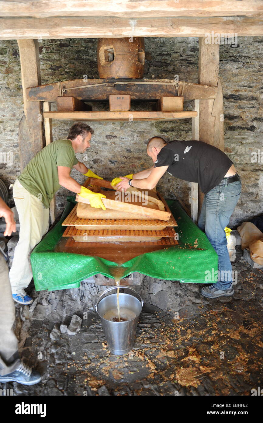 Making cider in Devon UK Stock Photo - Alamy