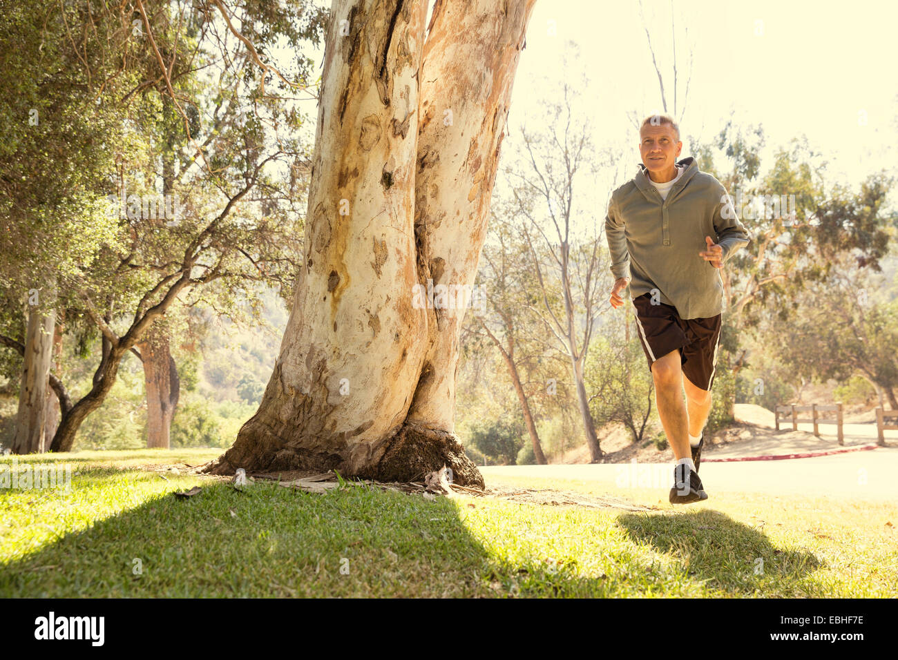 Mature man running through park Stock Photo - Alamy