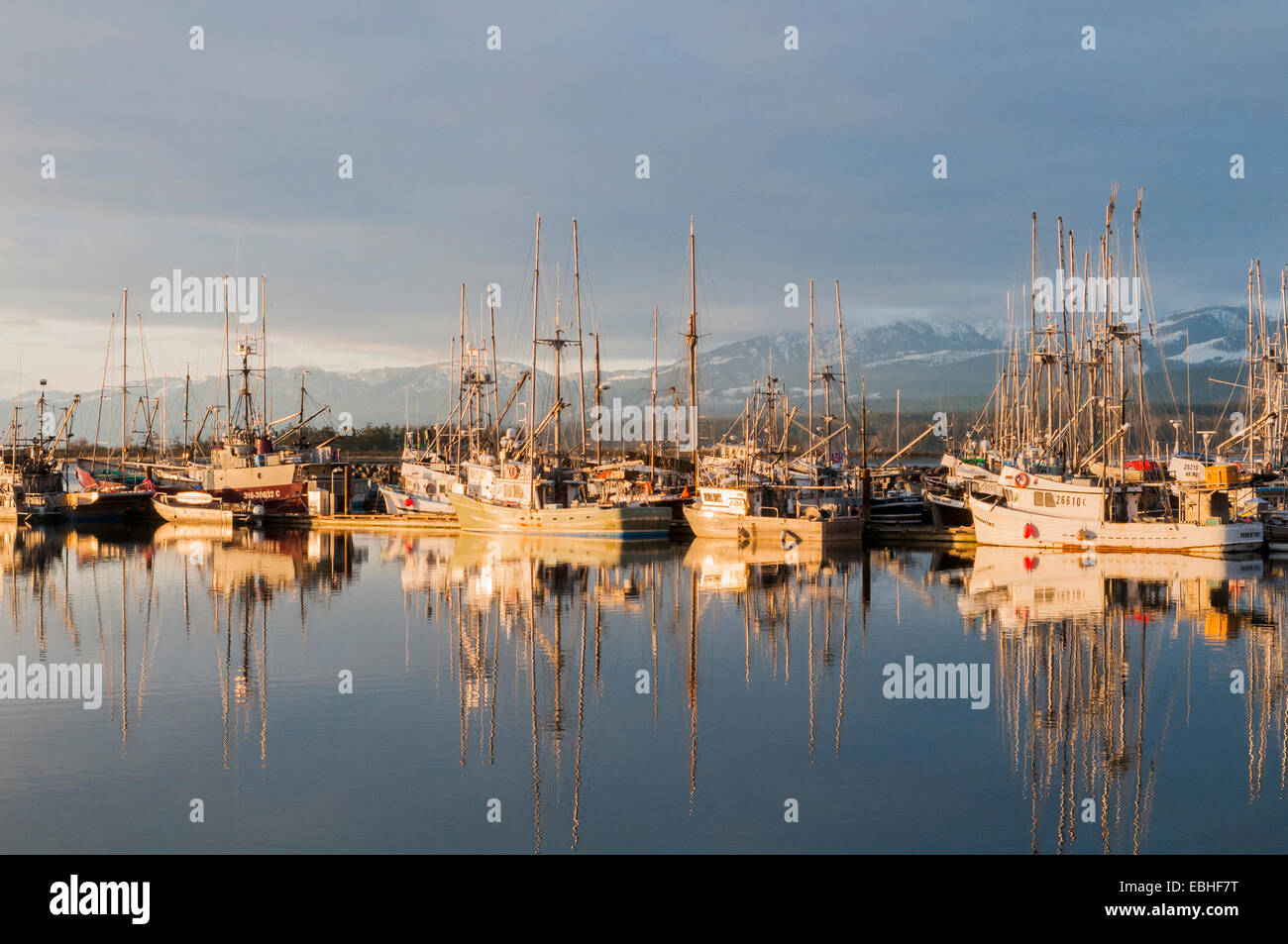 Comox Harbour, Comox, British Columbia, Canada Stock Photo - Alamy