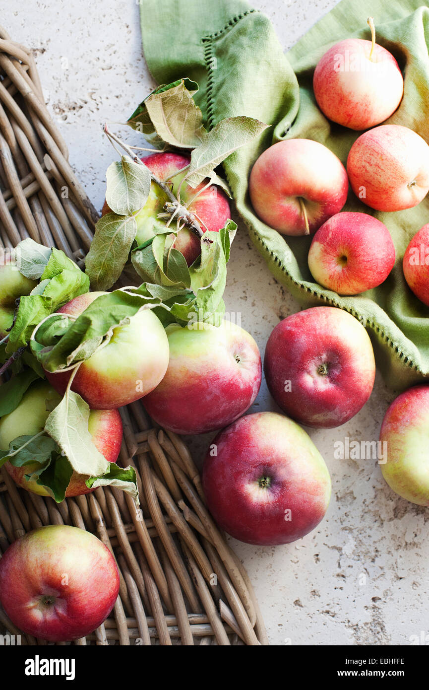 Fresh apples from orchard Stock Photo - Alamy
