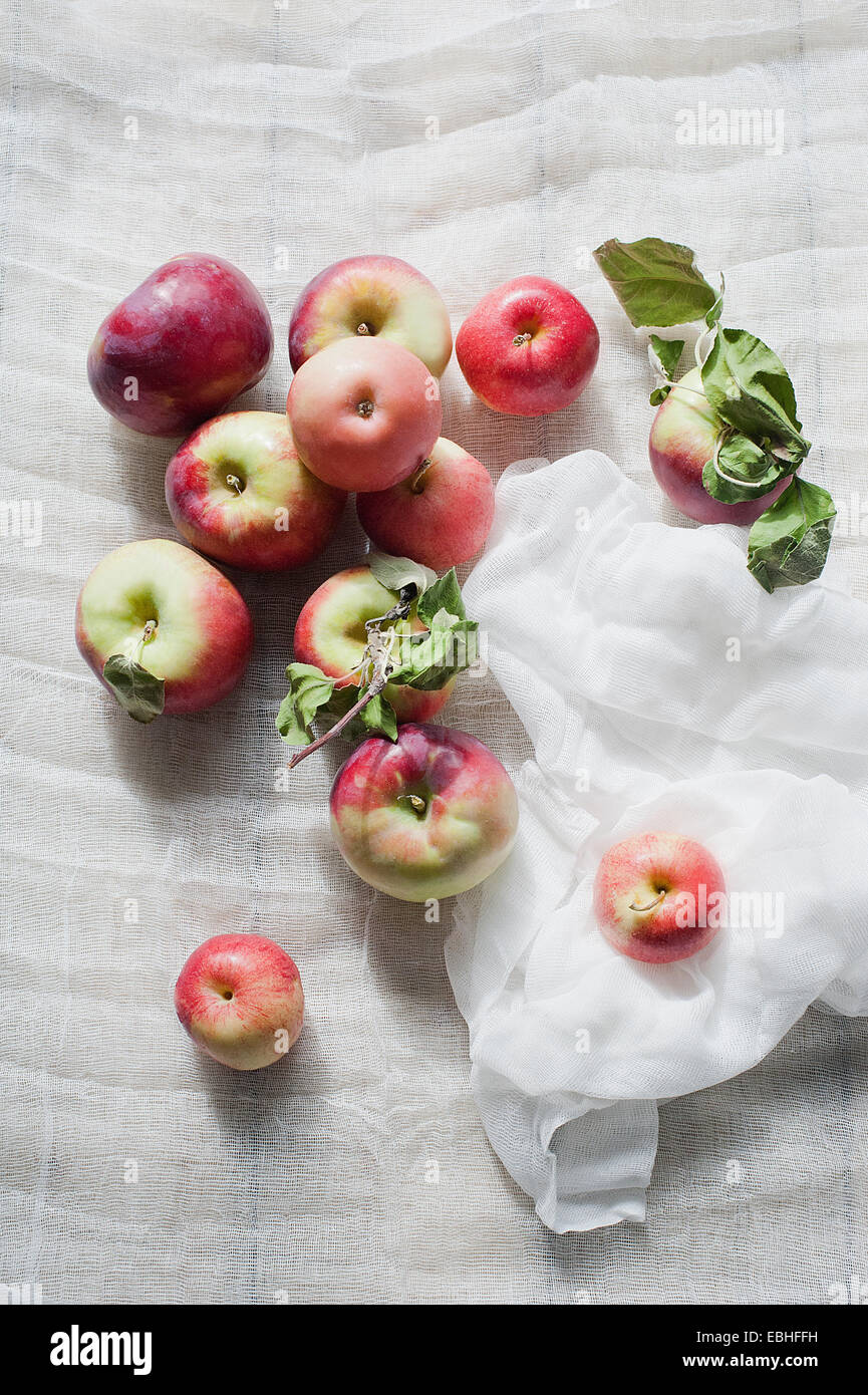 Fresh apples from orchard Stock Photo - Alamy