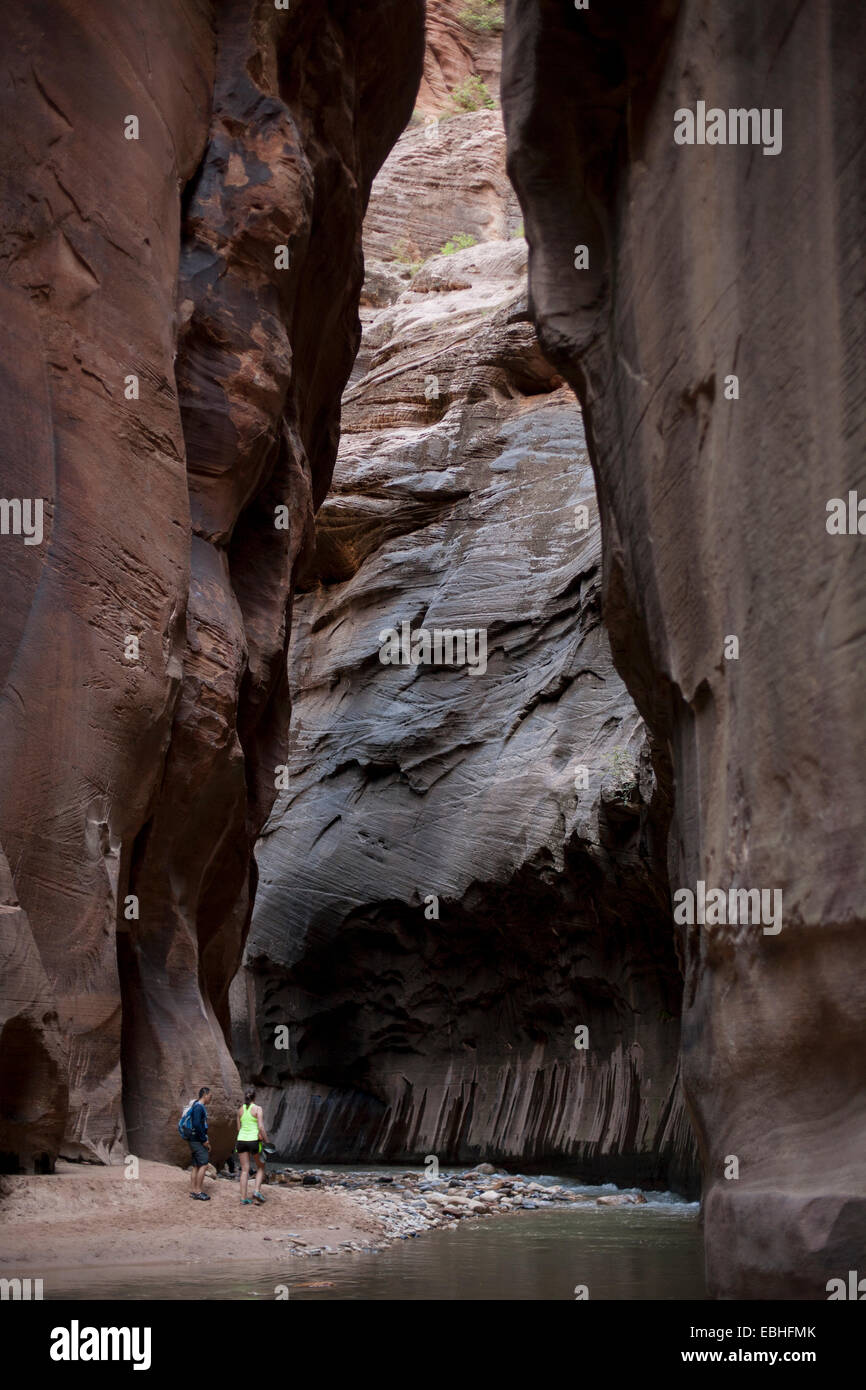 The Narrows trail, Zion National Park, Utah, USA Stock Photo - Alamy