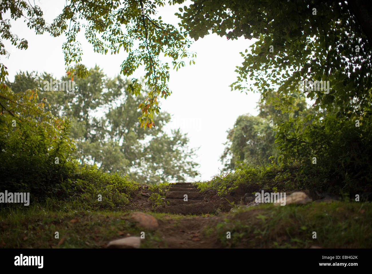 Low angle view of path and steps, Canton, North Carolina, USA Stock ...