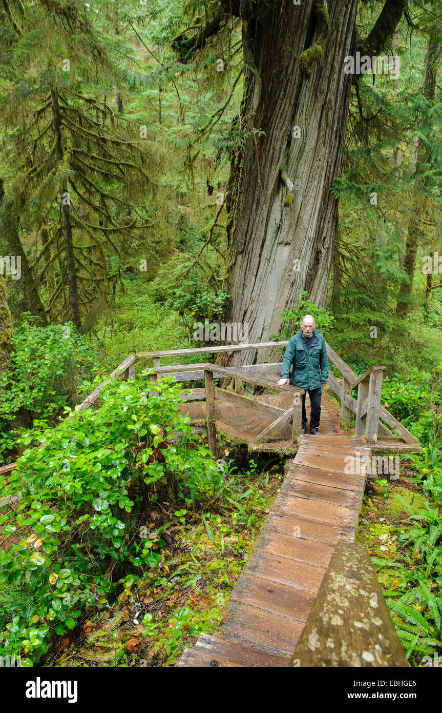 Day rim hi-res stock photography and images - Alamy