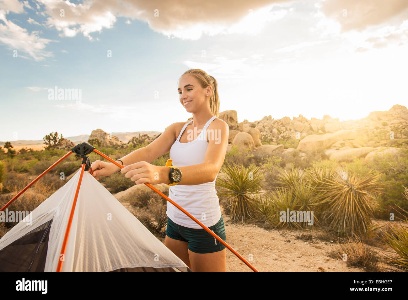 Woman setting up tent, Joshua Tree National Park, California, US Stock ...