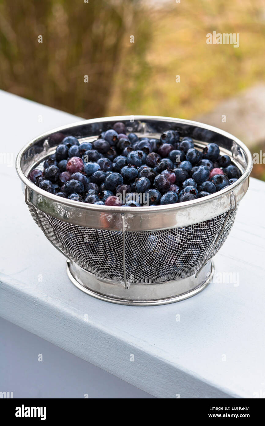 Blue sieve hi-res stock photography and images - Alamy