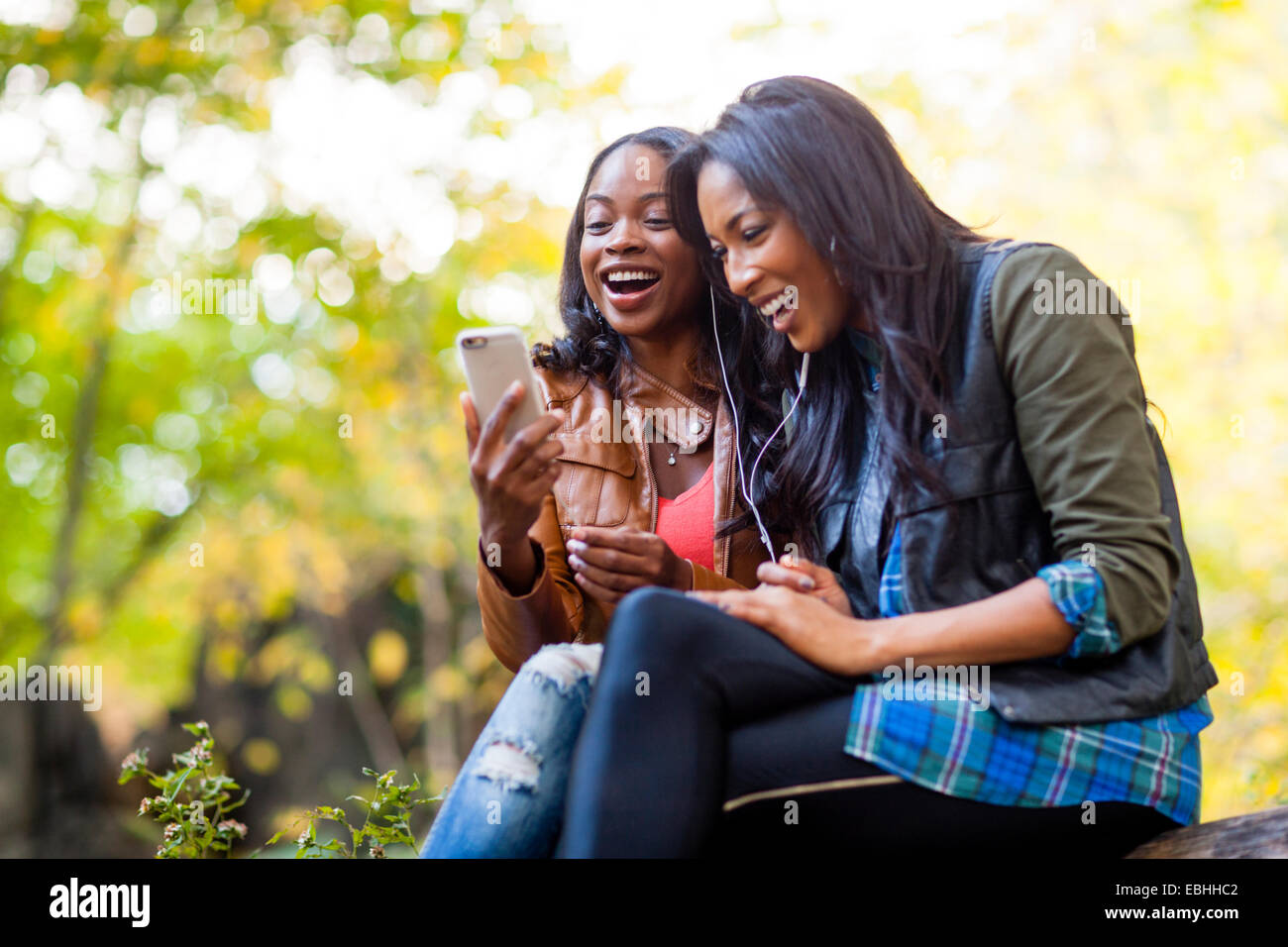 Young women using smartphone together in park Stock Photo - Alamy
