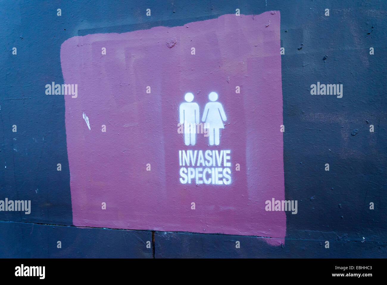 Invasive Species Graphic Graffiti Invasive Species Graffiti High ...