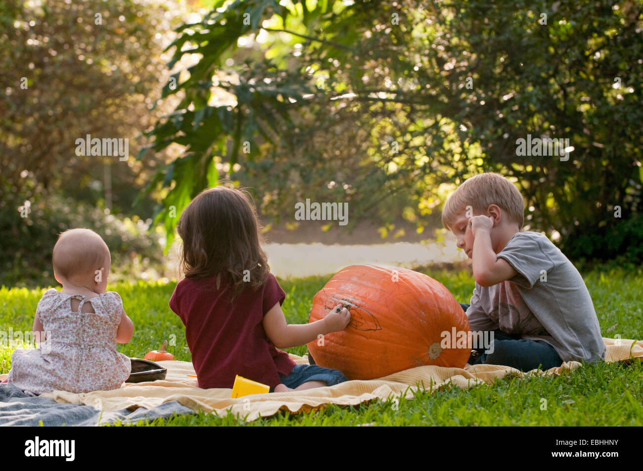 Children drawing on pumpkin Stock Photo - Alamy