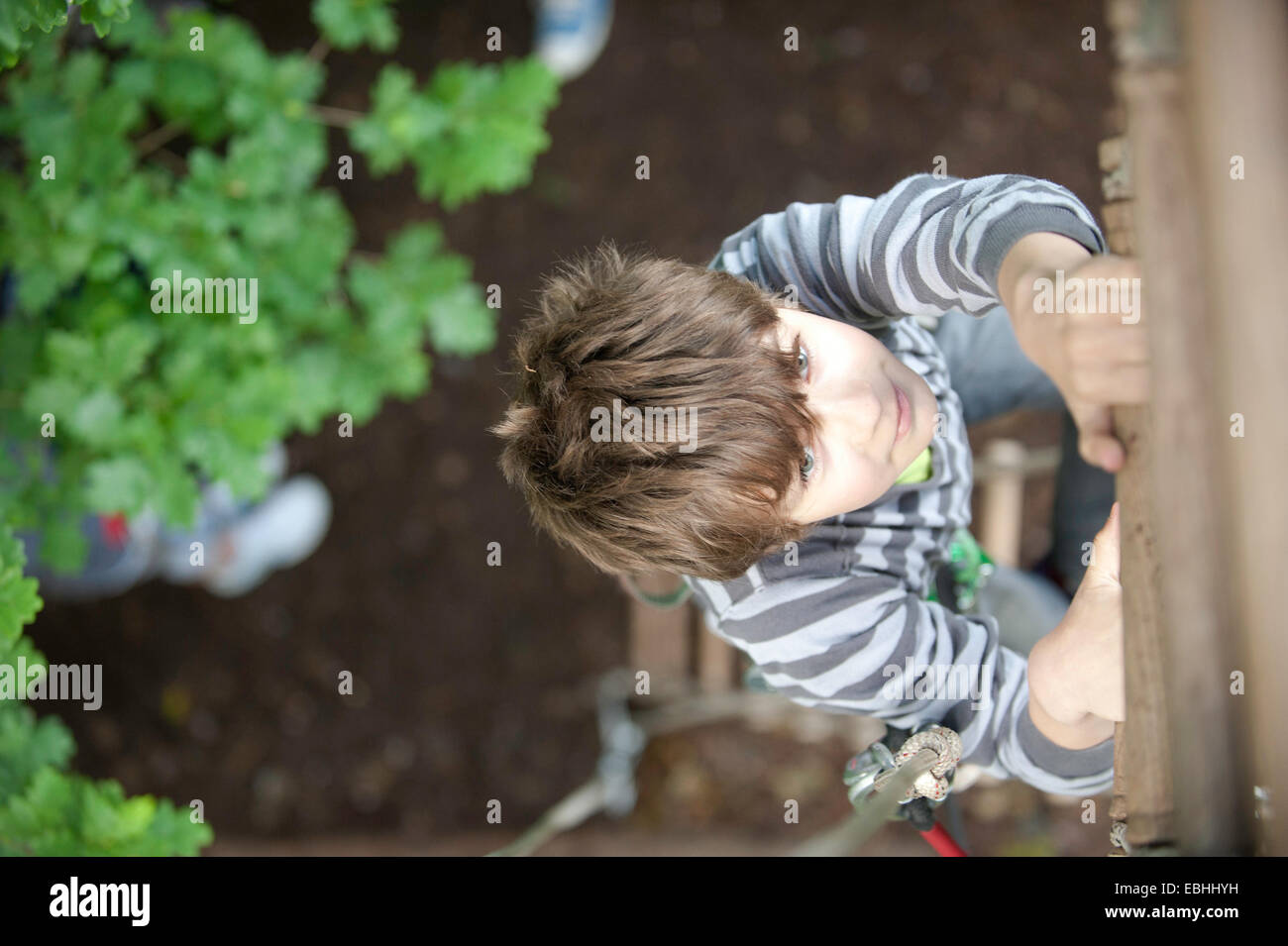 High ropes course forest of Dean Wales Stock Photo - Alamy