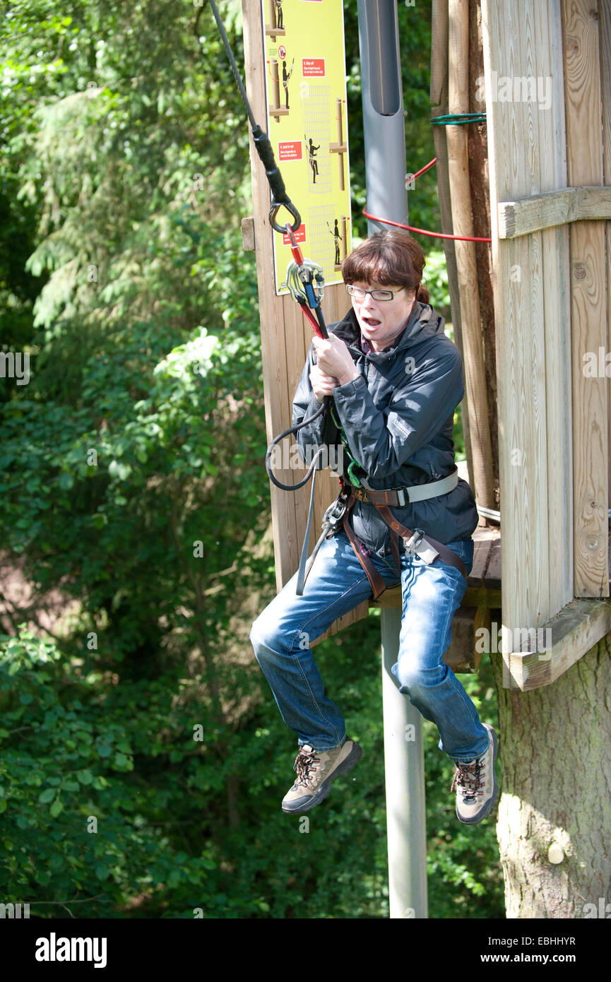 High ropes course forest of Dean Wales Stock Photo - Alamy