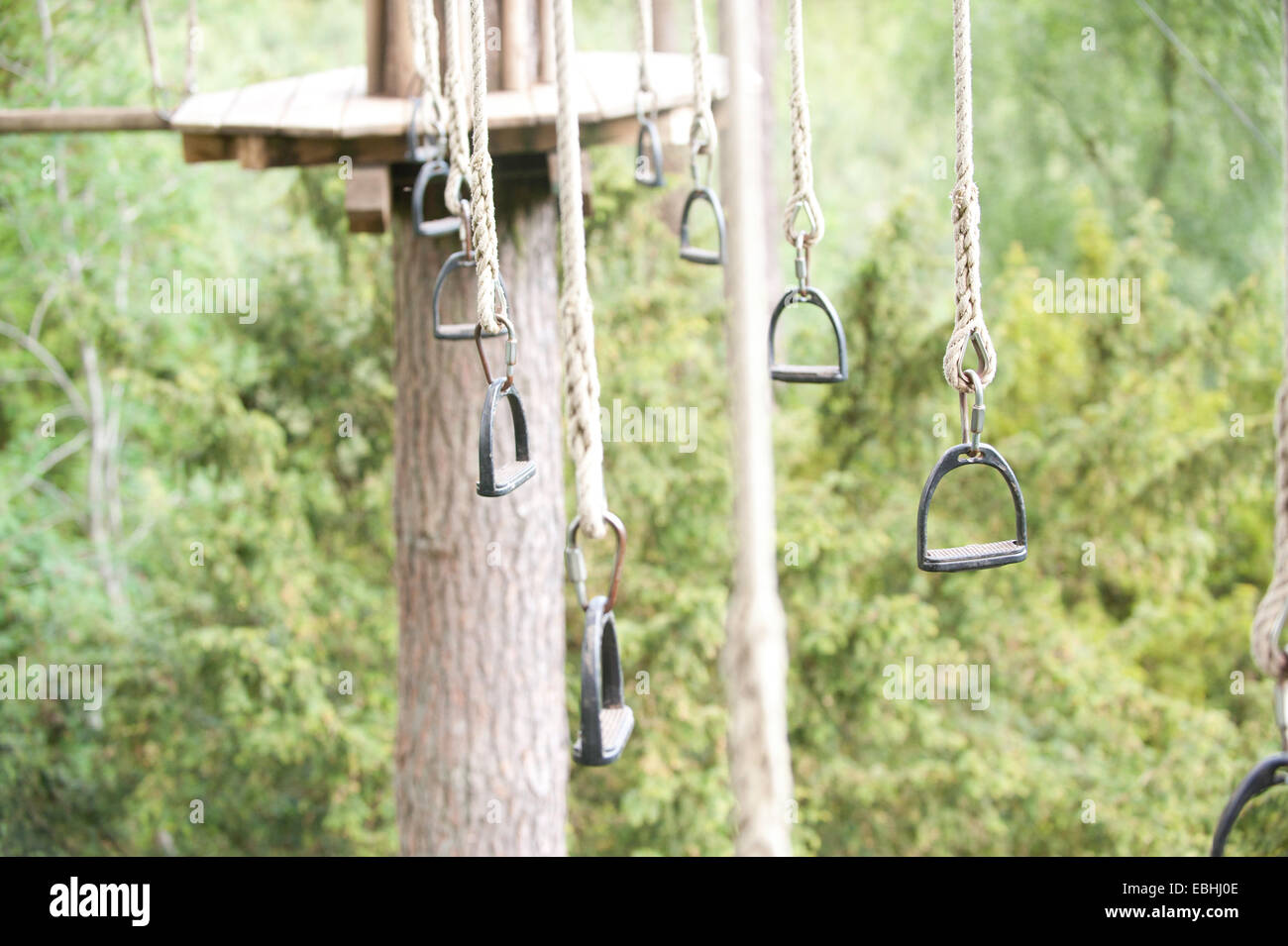 High ropes course in Wales Stock Photo - Alamy