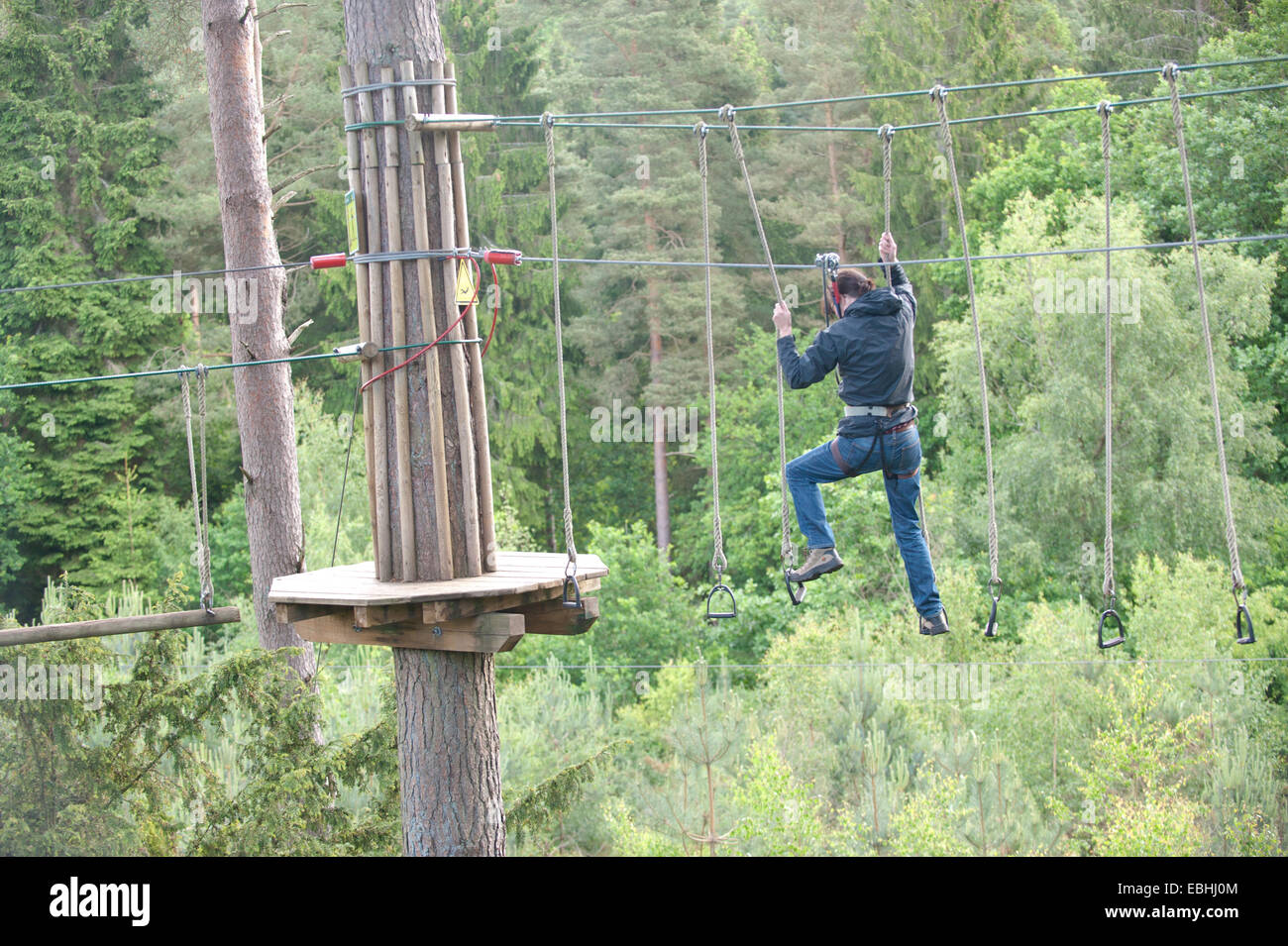 High ropes course in Wales Stock Photo - Alamy