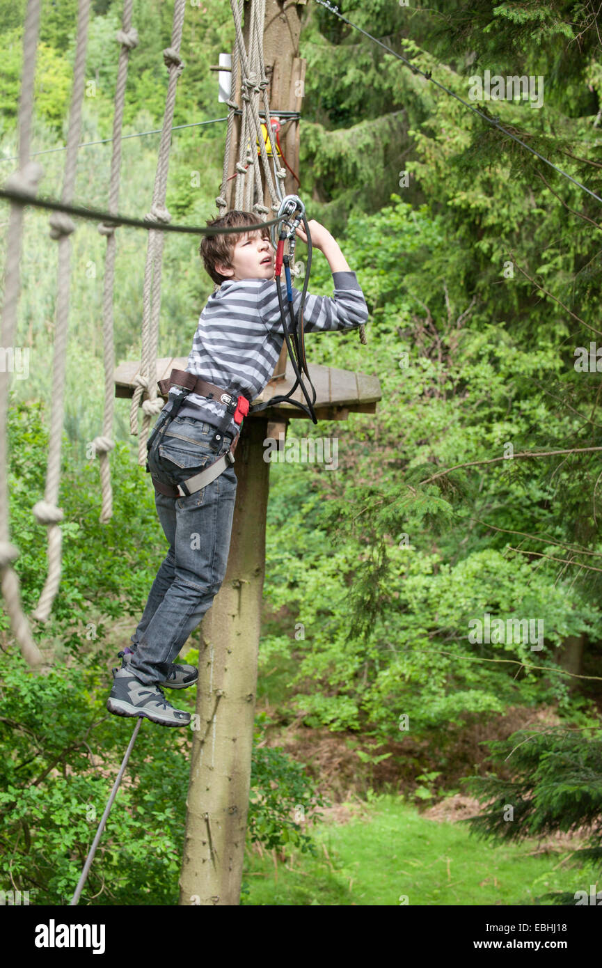 High ropes course in Wales Stock Photo - Alamy