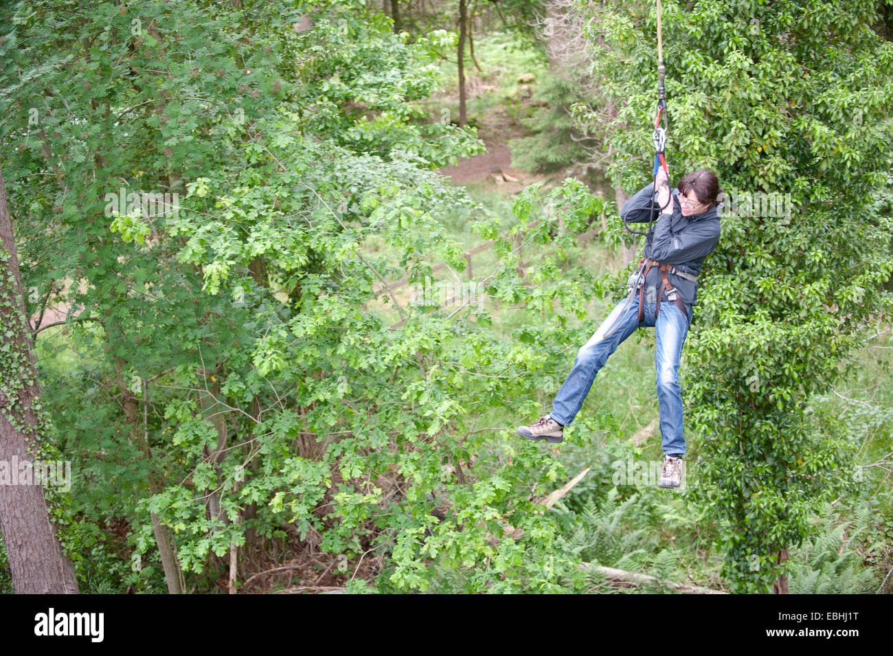 High ropes course in Wales Stock Photo - Alamy