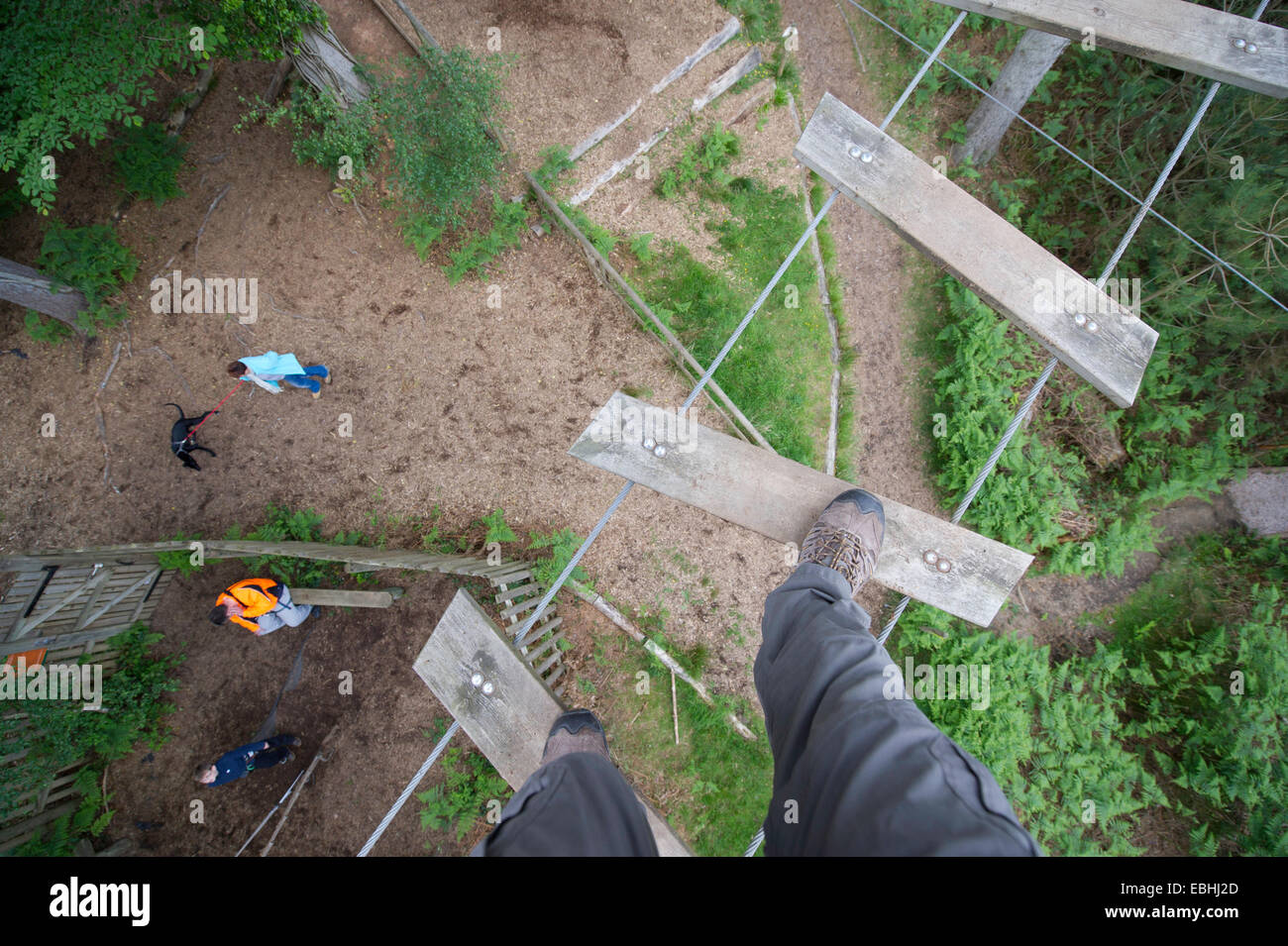 Go ape zip wire hi-res stock photography and images - Alamy