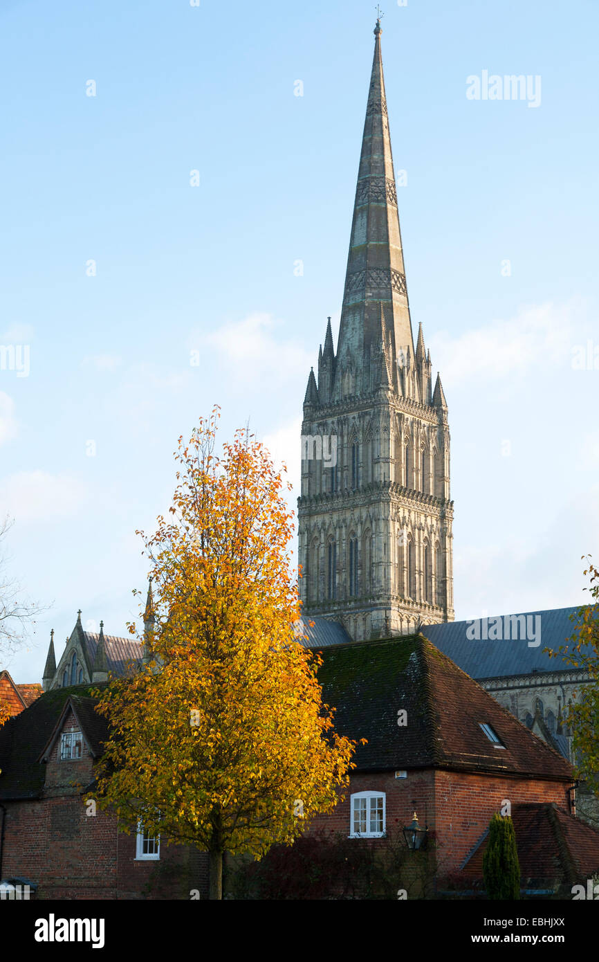Spire of Salisbury Cathedral shown during the autumn / winter, with a ...