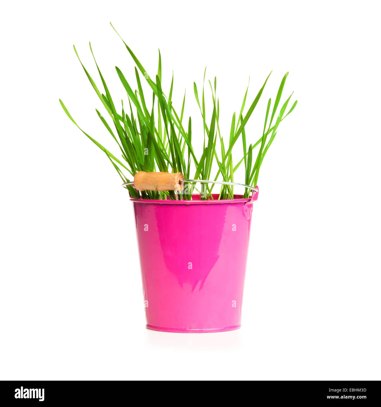 Pink metallic pot with grass on white background Stock Photo - Alamy