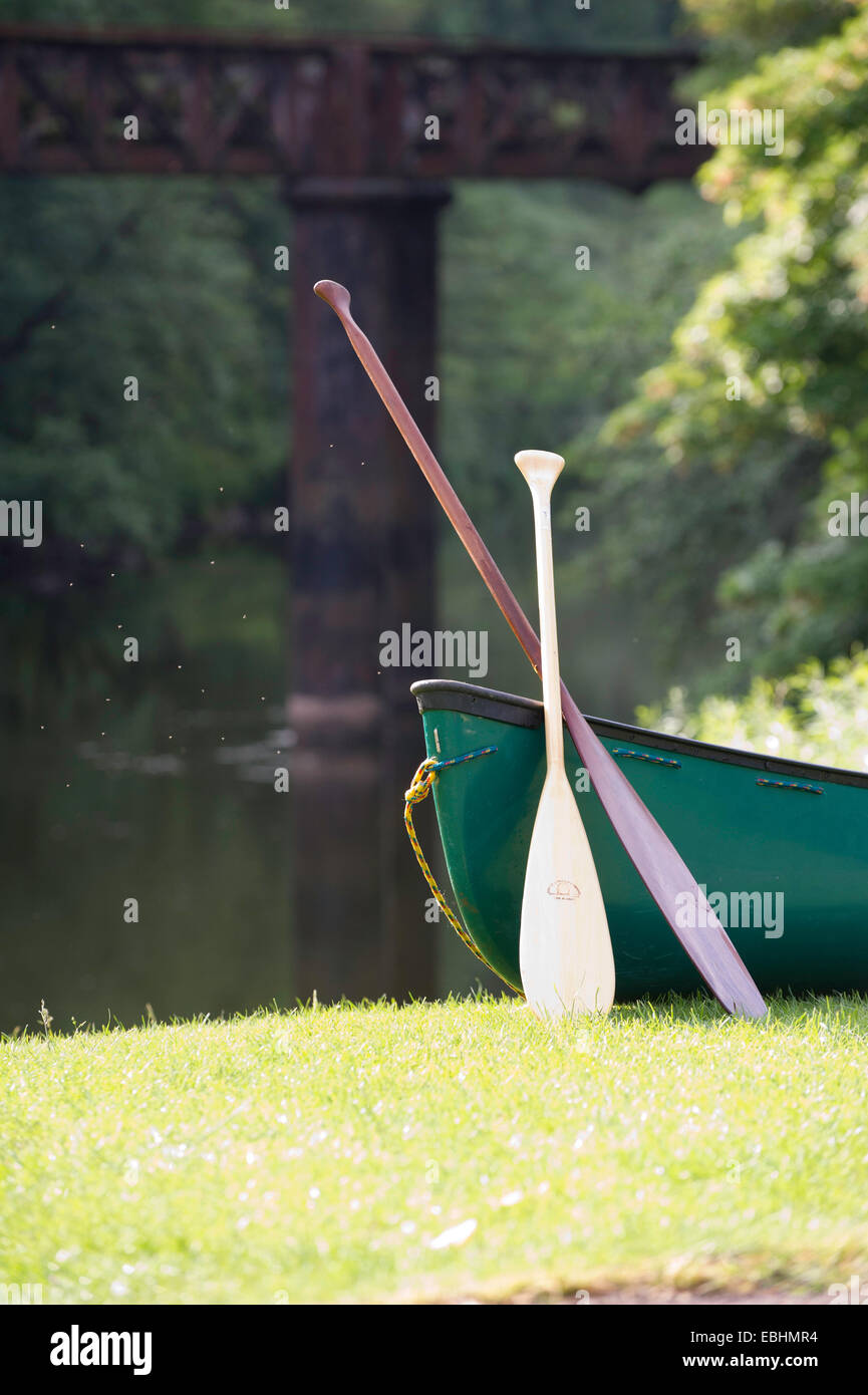 Paddles lying against a tree Stock Photo - Alamy