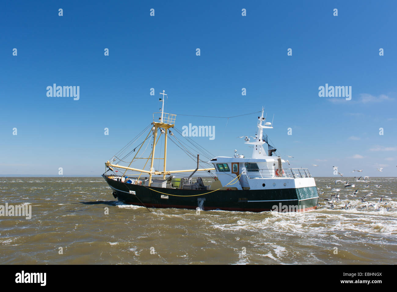 Fishing boat at the Dutch wadden sea Stock Photo - Alamy