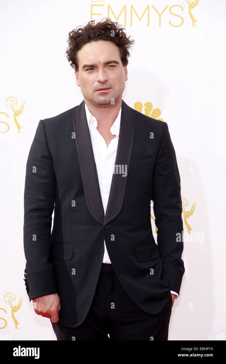 Los Angeles, CA, USA. Johnny Galecki at 66th Annual Primetime Emmy ...