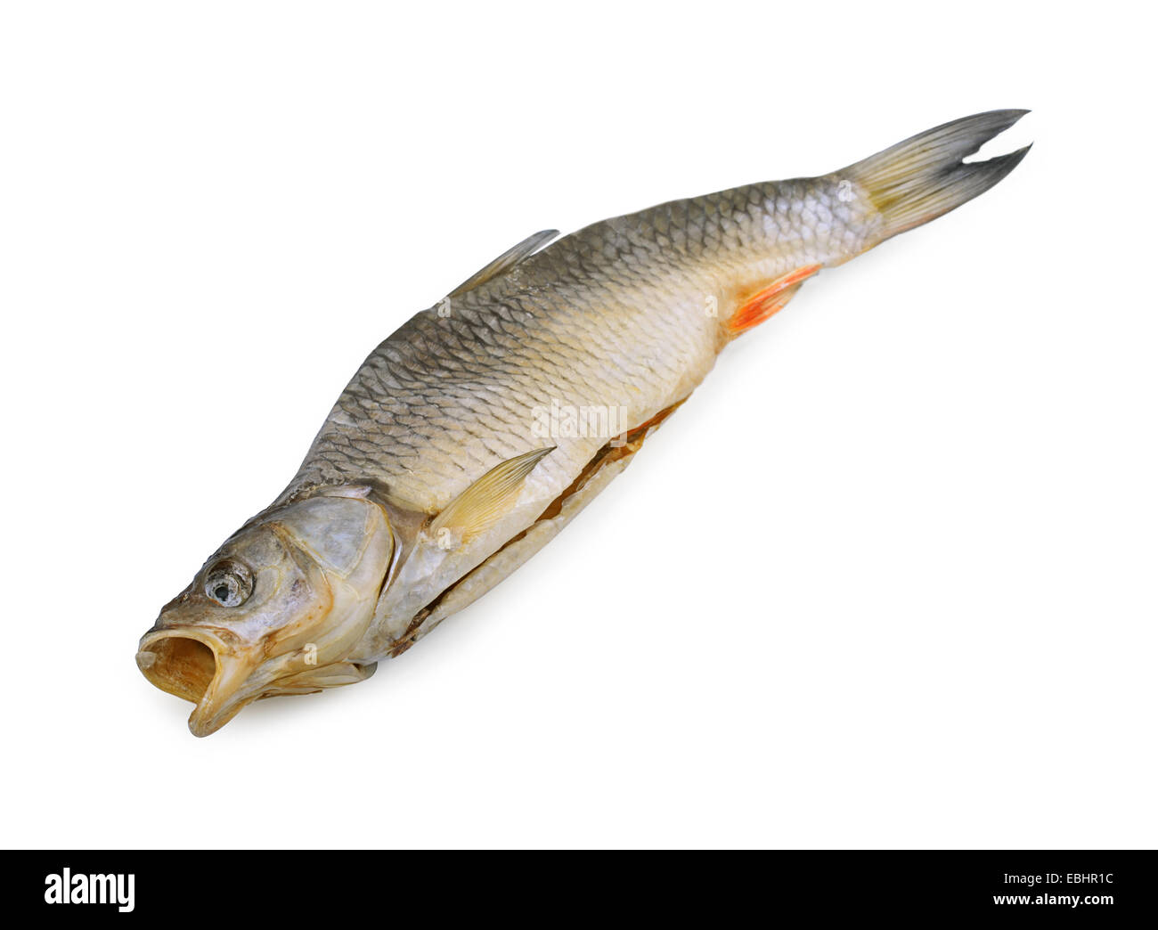 Dead fish dried out Cut Out Stock Images & Pictures - Alamy