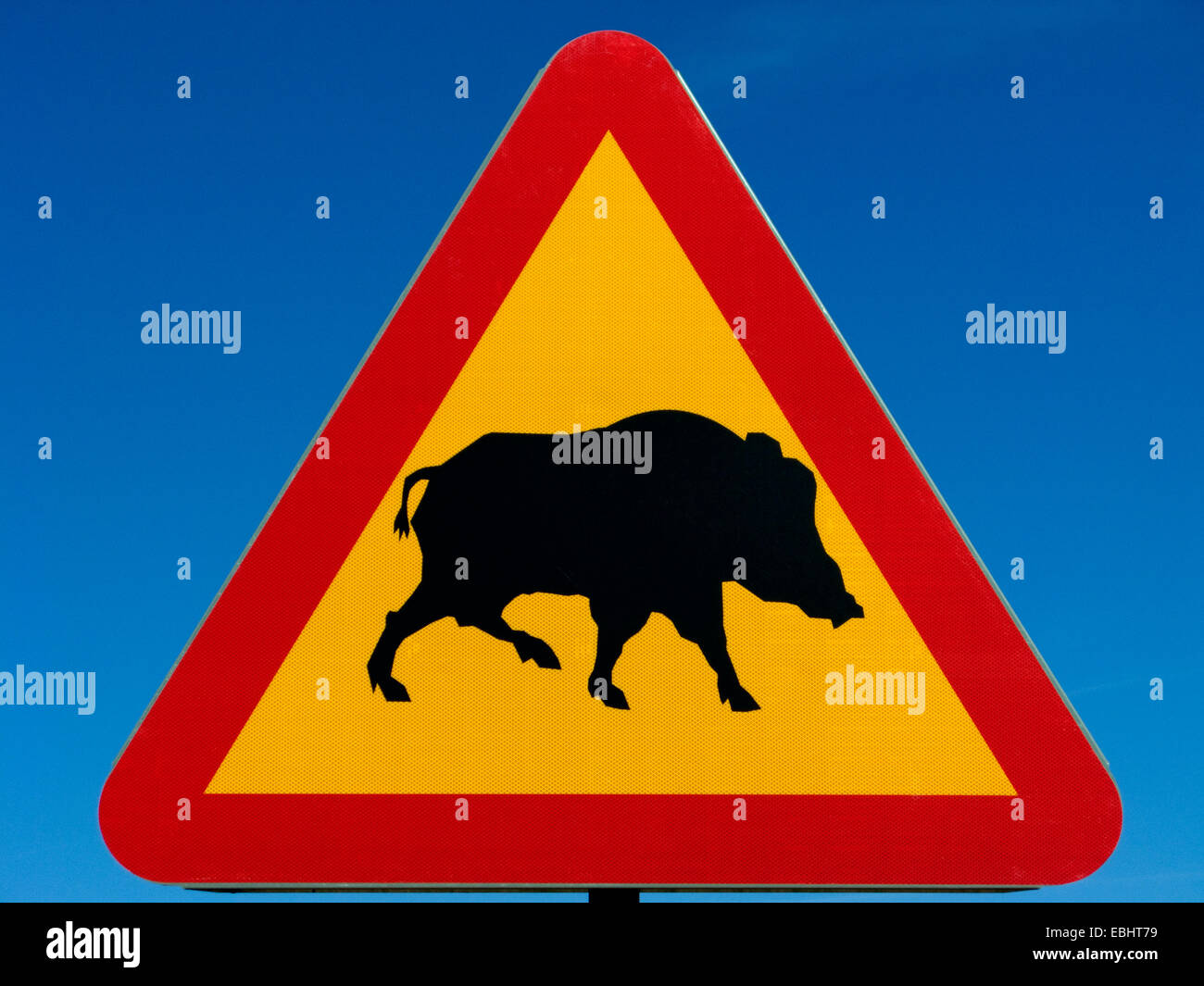Boar traffic sign hi-res stock photography and images - Alamy