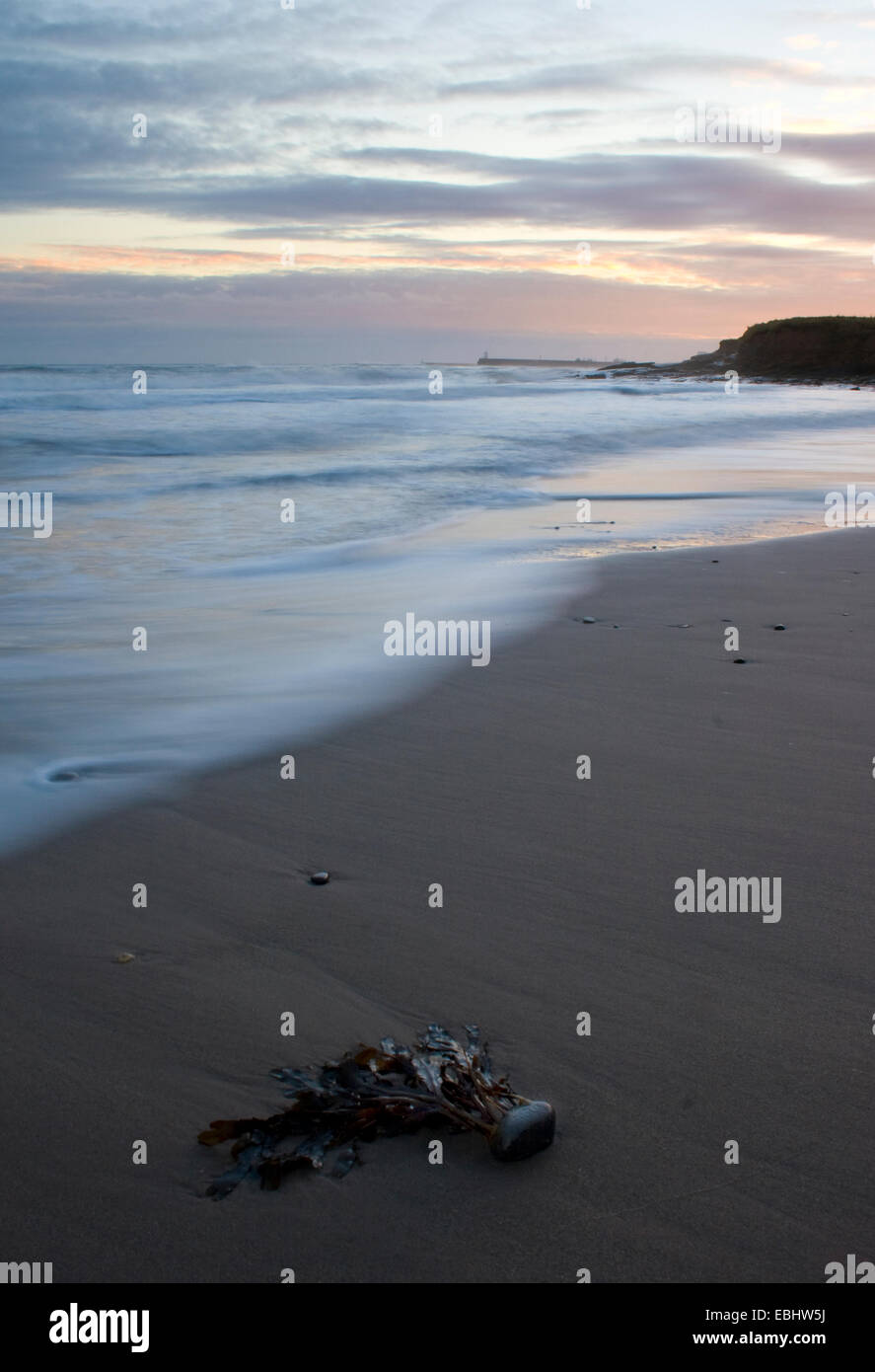 Dawn at Seahouses Northumberland UK Stock Photo - Alamy
