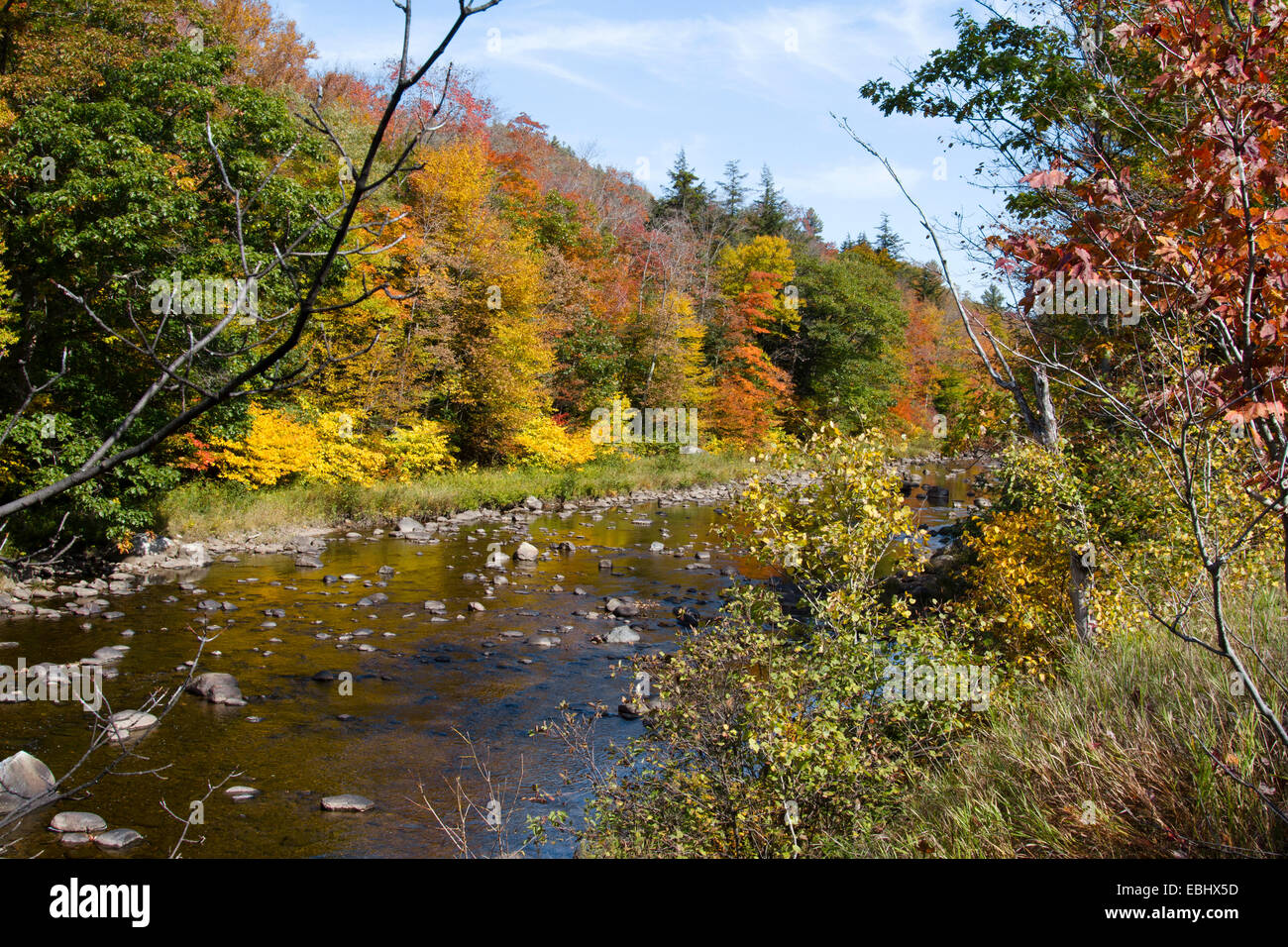 fall autumn river scene in the Adirondack State Park New York Stock ...
