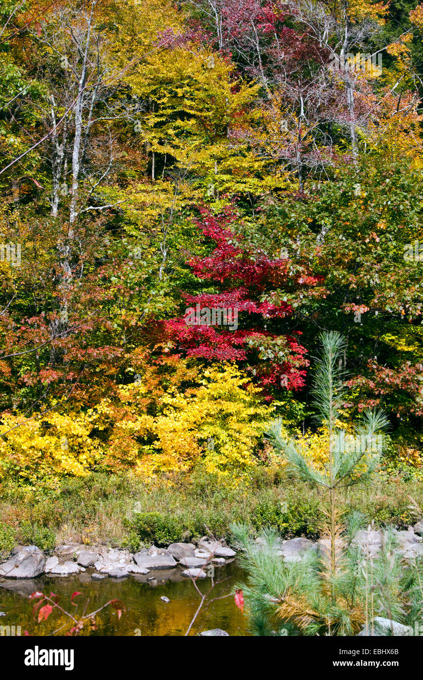 fall autumn river scene in the Adirondack State Park New York Stock ...