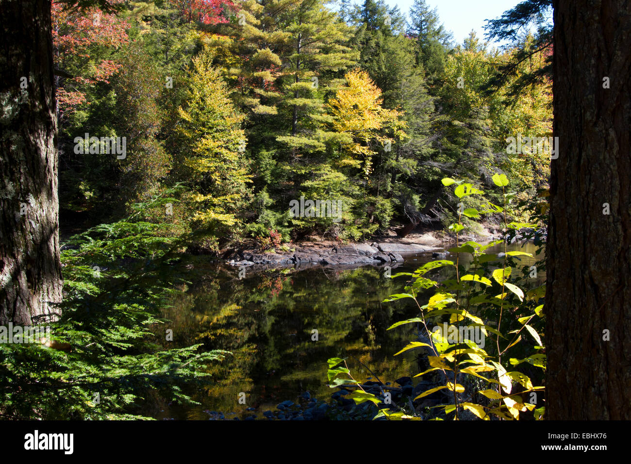 River stream autumn fall scene Adirondack State Park New York USA Stock ...