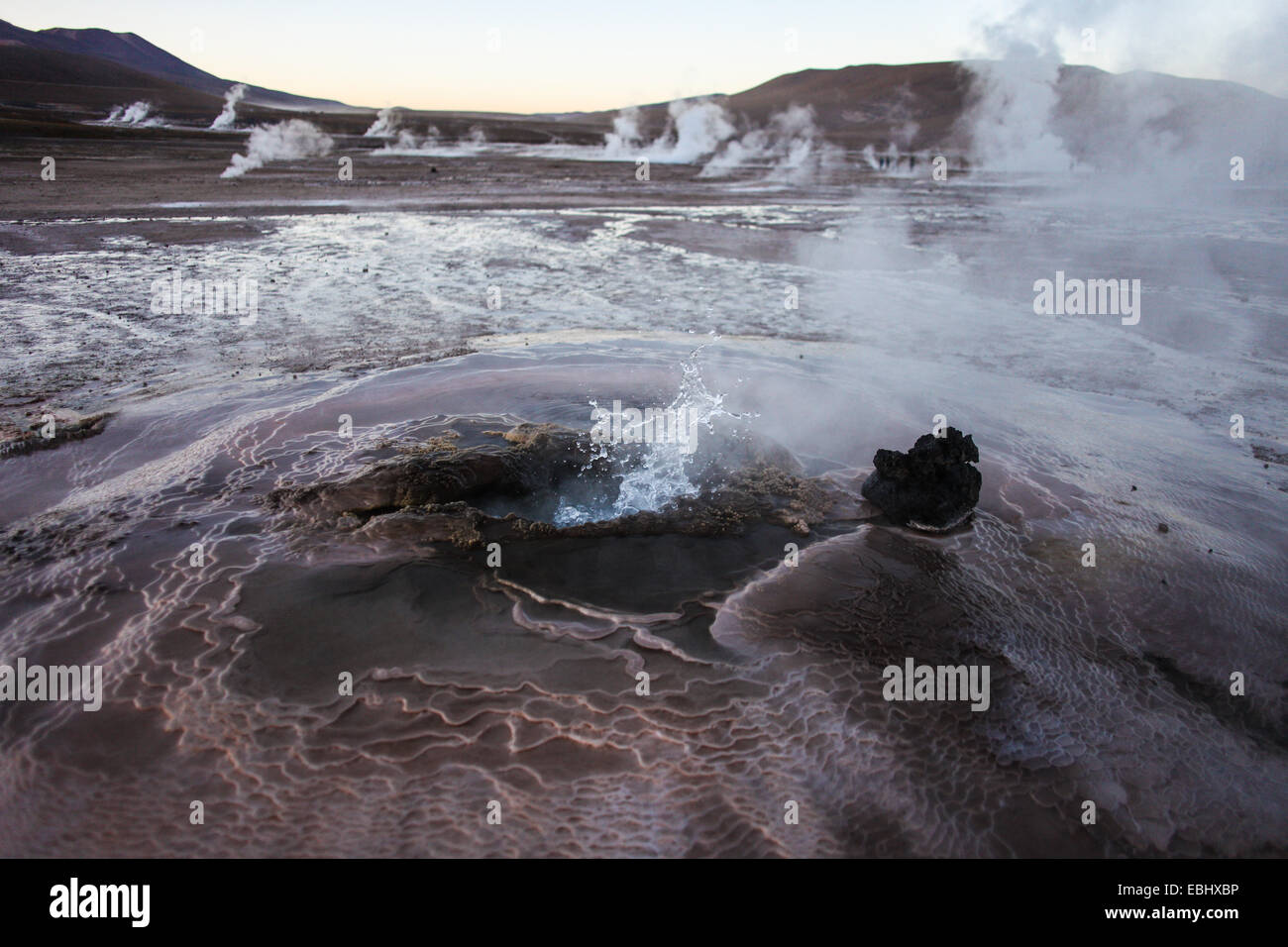 Geyser field El Tatio in Atacama region, Chile Stock Photo - Alamy