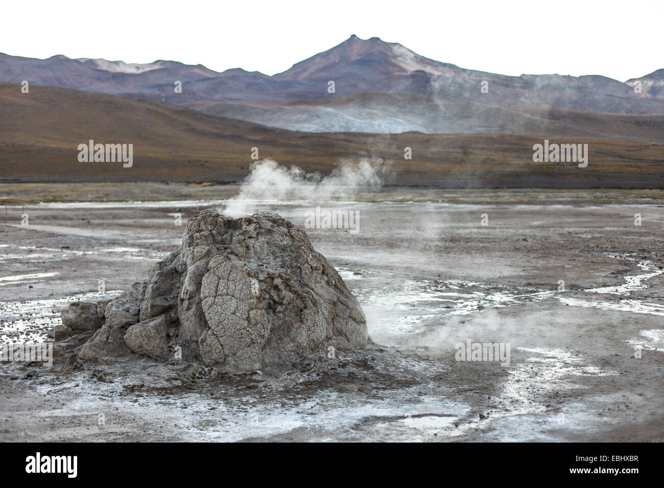 Geyser field El Tatio in Atacama region, Chile Stock Photo - Alamy
