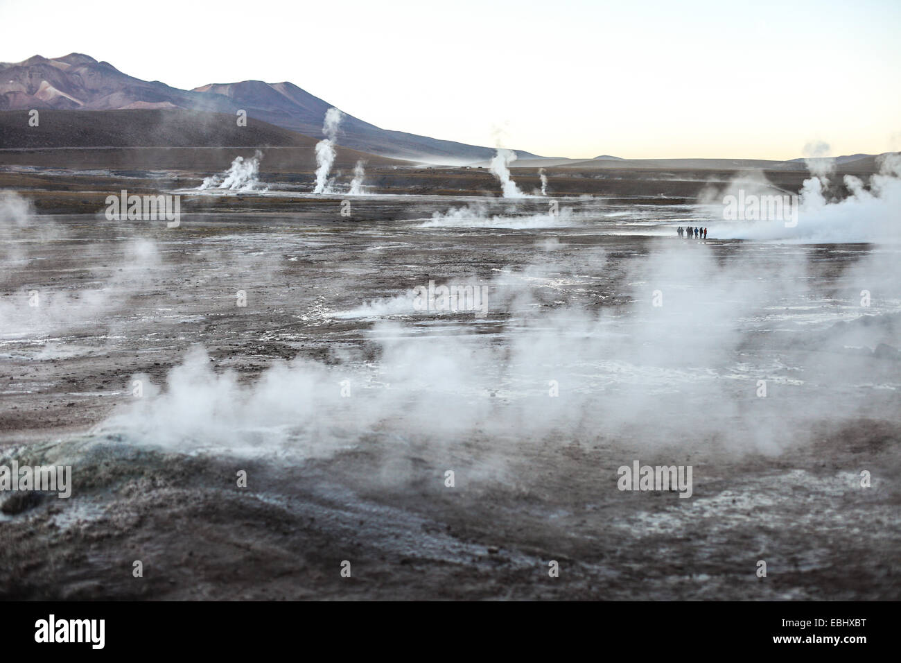 Geyser field El Tatio in Atacama region, Chile Stock Photo - Alamy