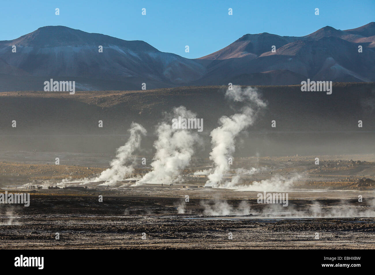 Geyser field El Tatio in Atacama region, Chile Stock Photo - Alamy