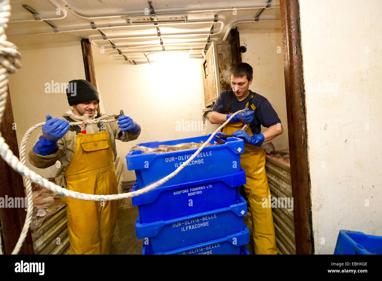 2 men with crates of fish on a UK trawler Stock Photo - Alamy
