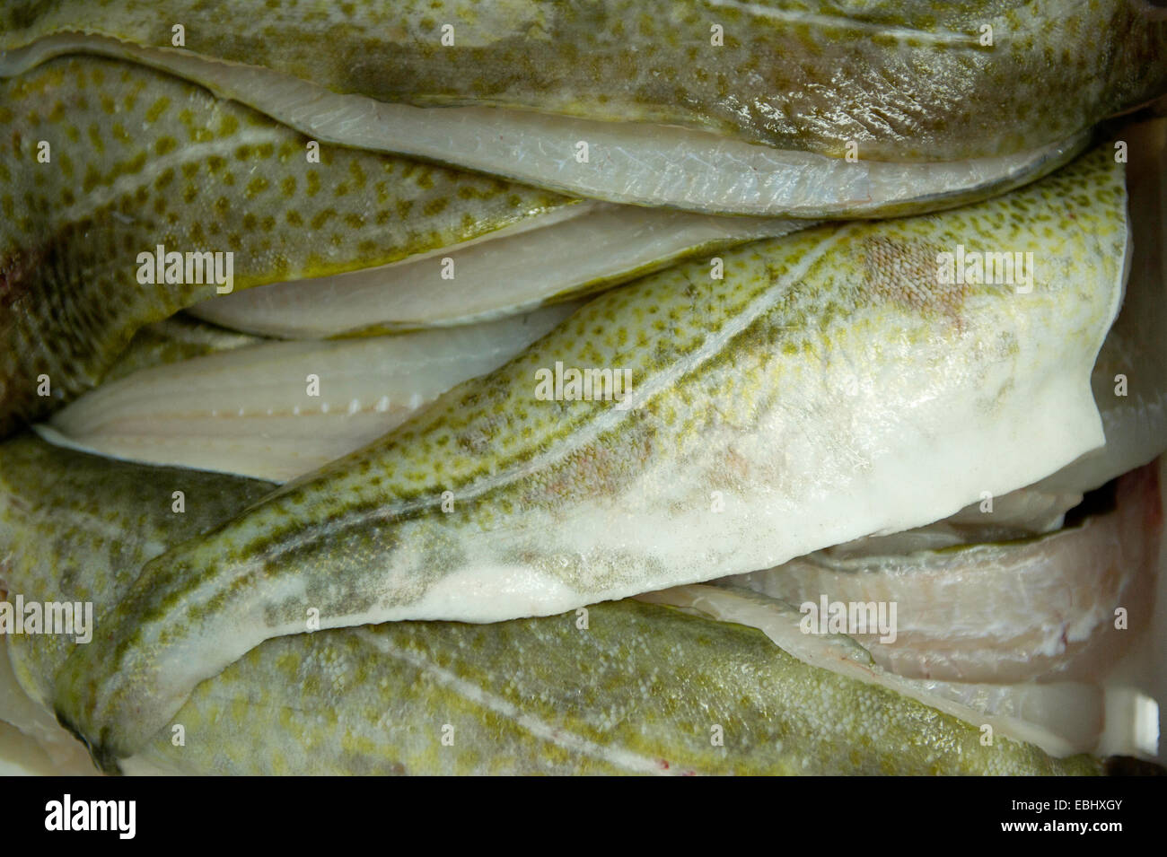 Fish fillets fish hi-res stock photography and images - Alamy