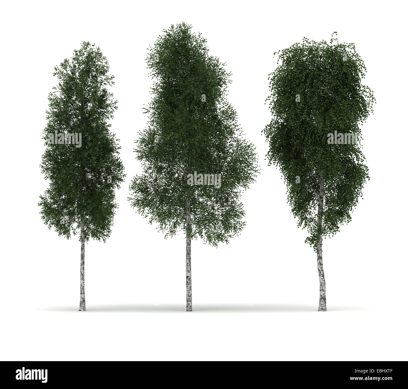 Environment isolated hi-res stock photography and images - Alamy