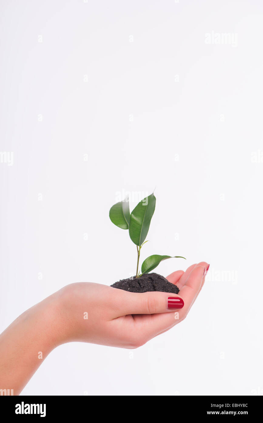 Concept of new life Stock Photo - Alamy