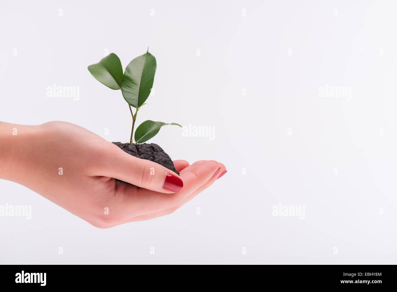 Concept of new life Stock Photo - Alamy