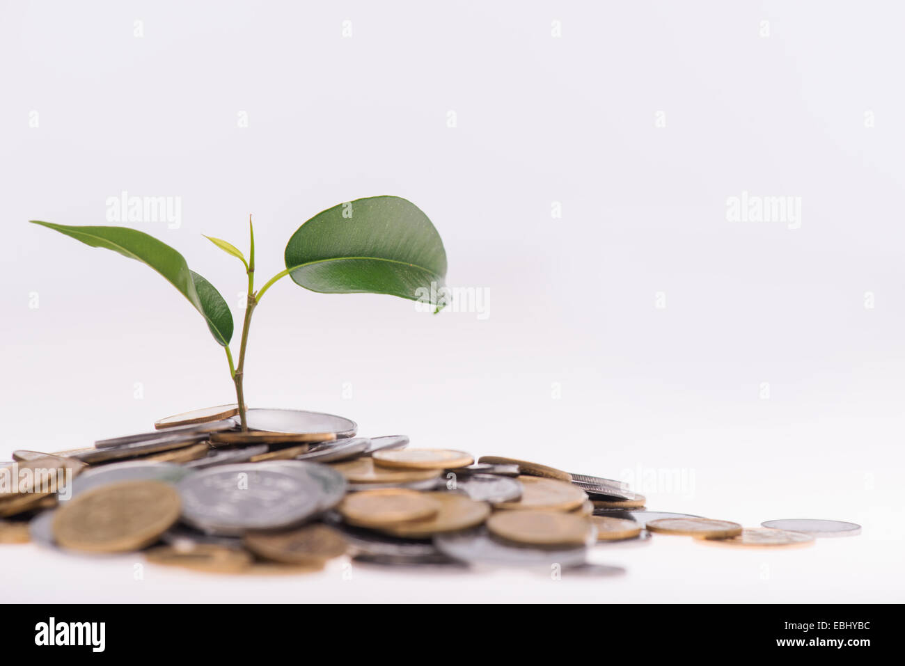 Concept of new life Stock Photo - Alamy