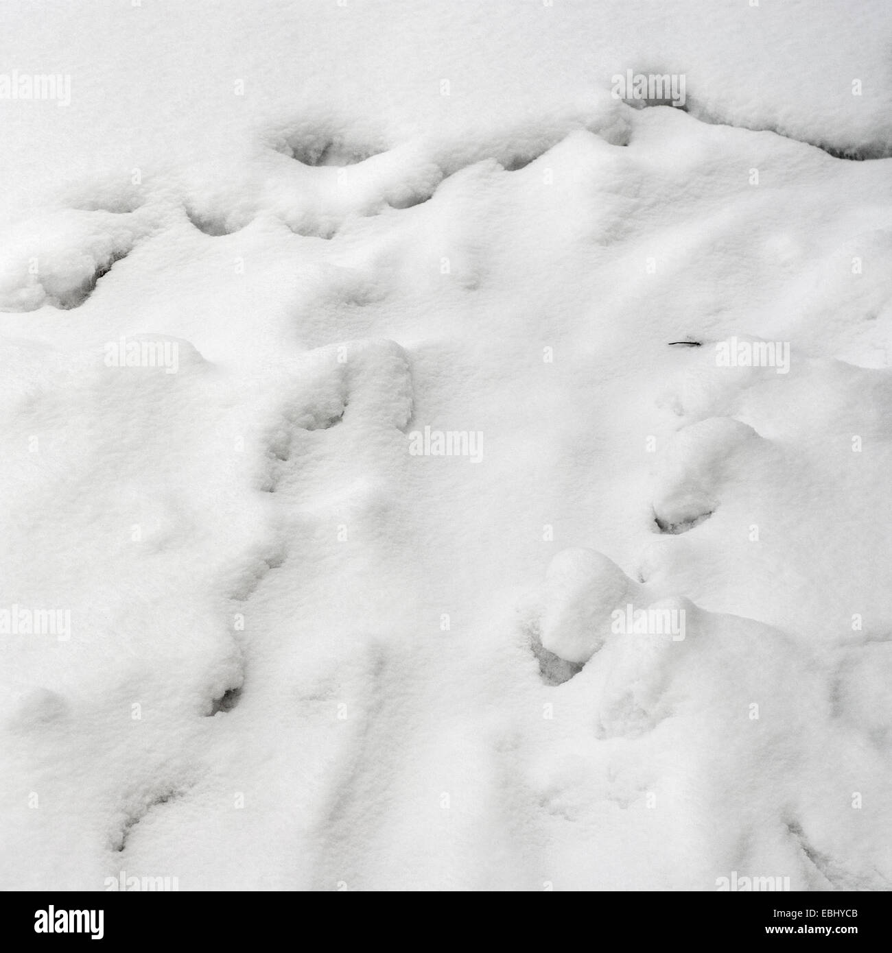 snow background texture Stock Photo - Alamy